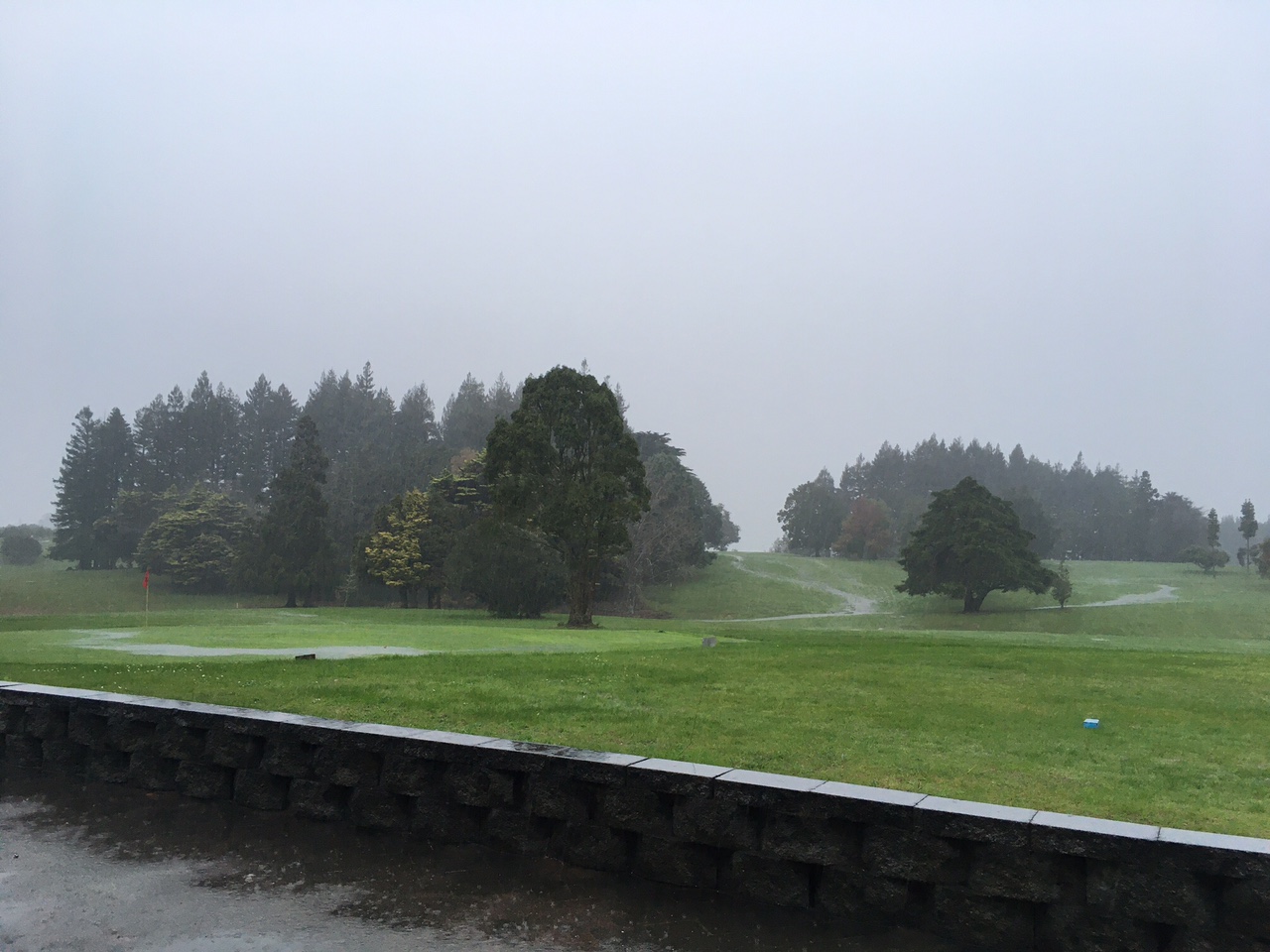 Maramarua Golf Club Inc. - We love golf as much as you!